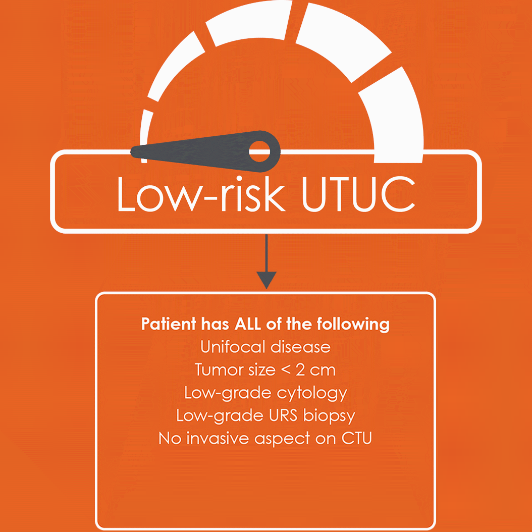 Practical guidance on risk-stratification in UTUC