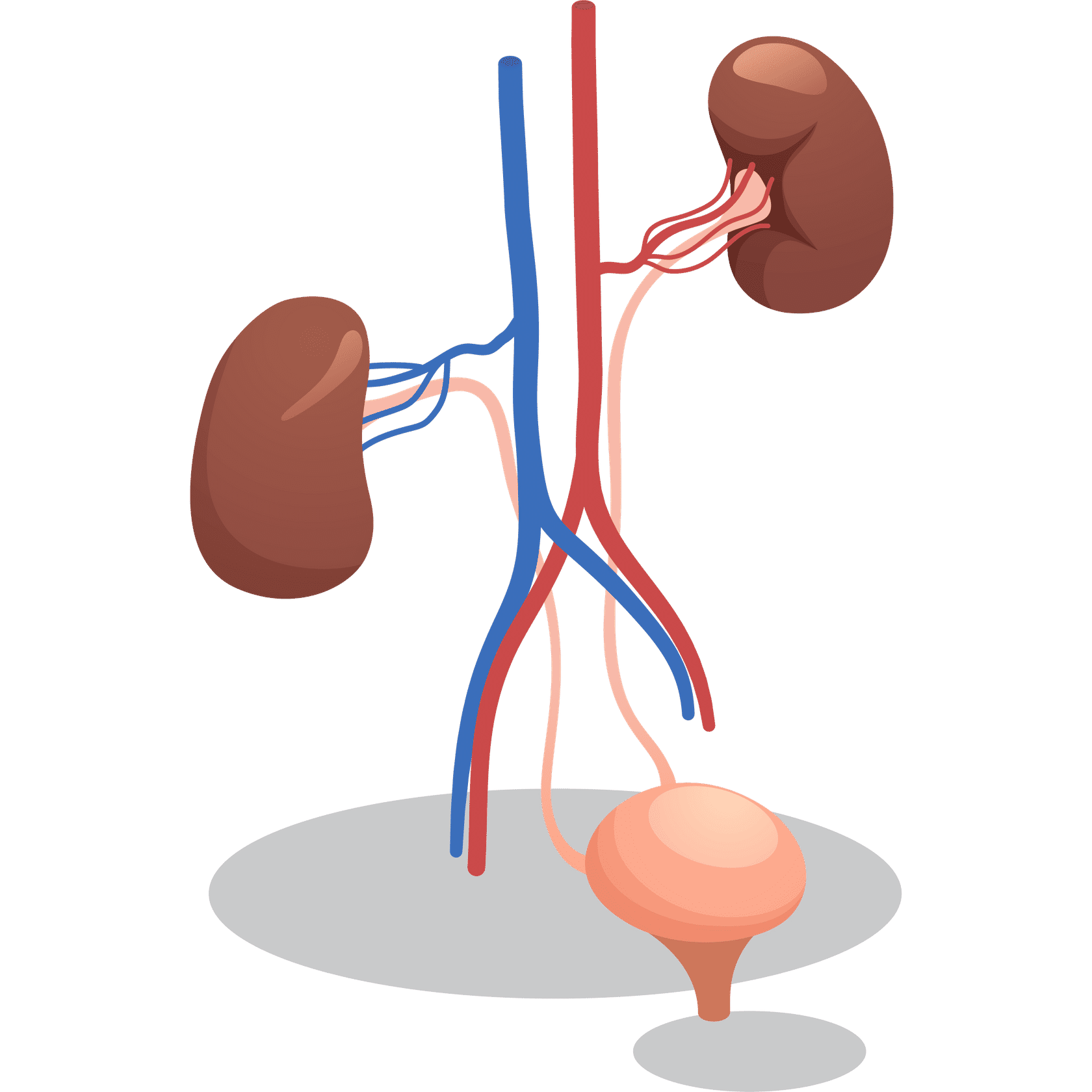 Practical guidance on risk-stratification in UTUC