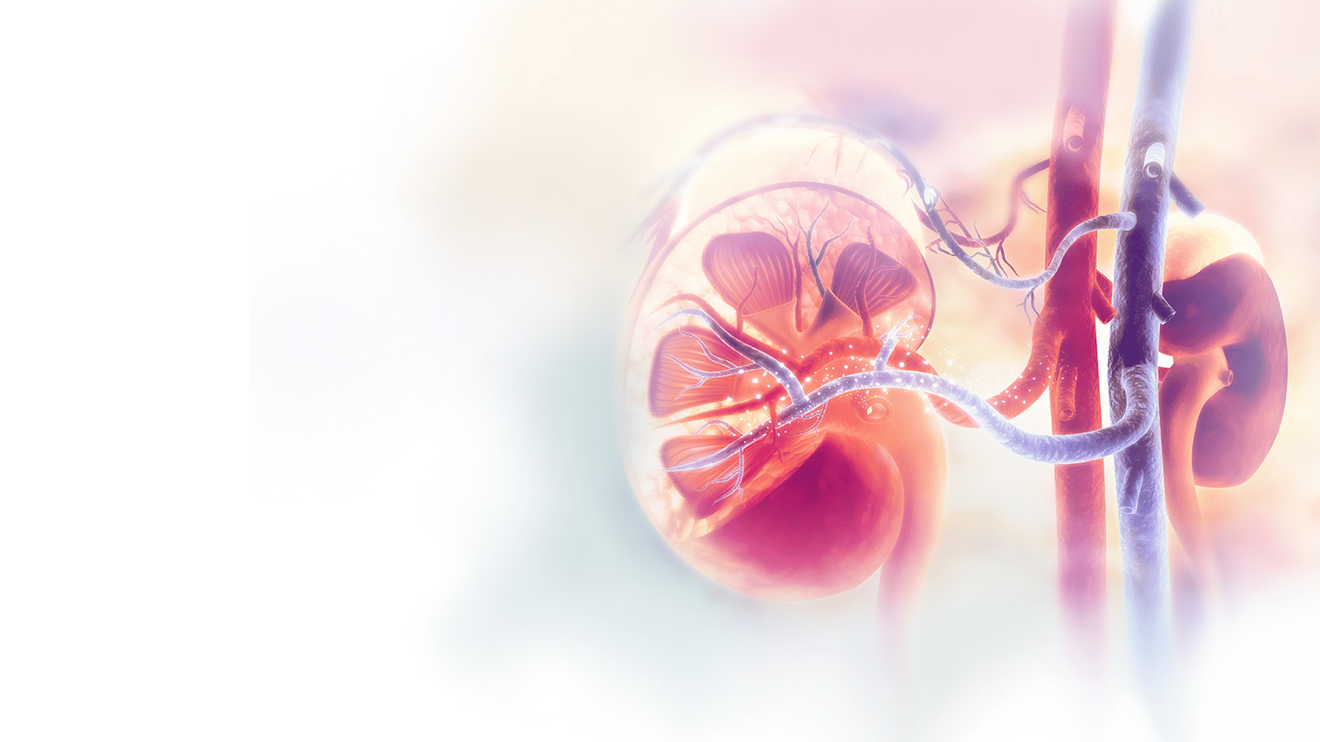 Novel treatment strategies for upper tract urothelial cancer ...